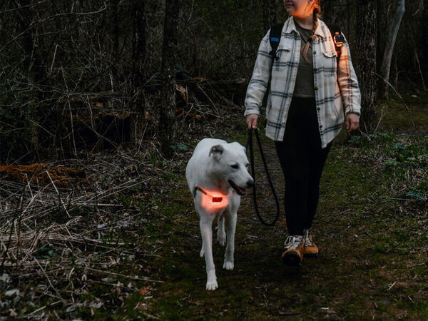Wearable/Hands-Free Hiking Light | Guardian Angel™