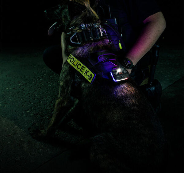 Resources - How To Videos - Studies | Guardian Angel Devices